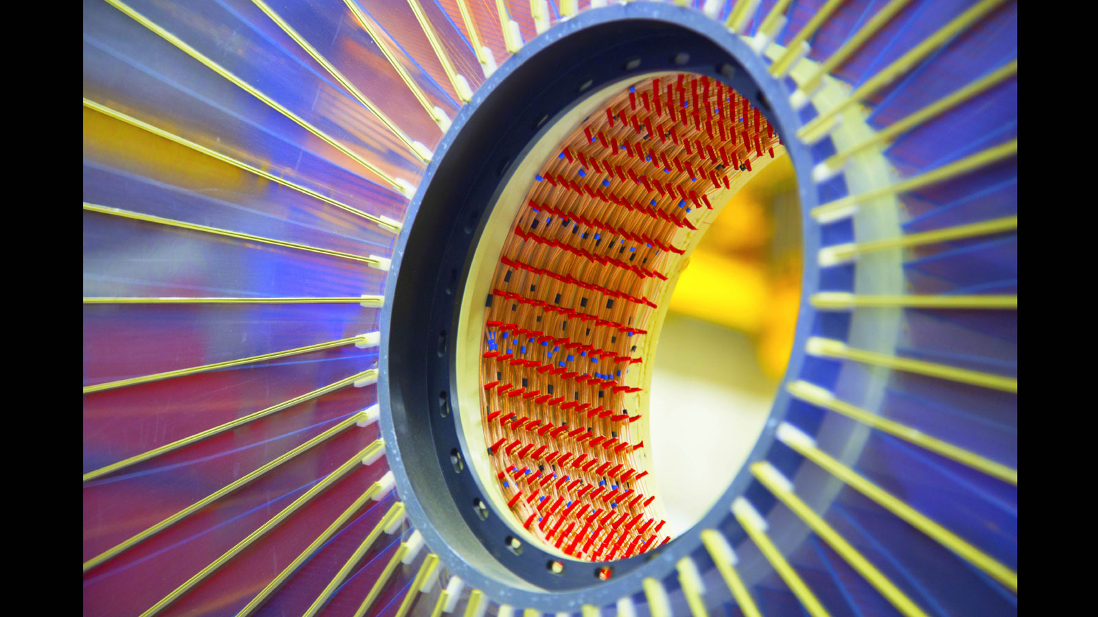 Rosemary Wilson | symmetry magazine